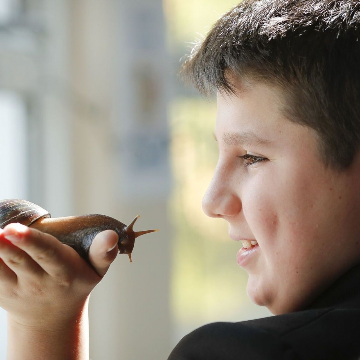 Hurstmere School - Welcome to our New Website!
